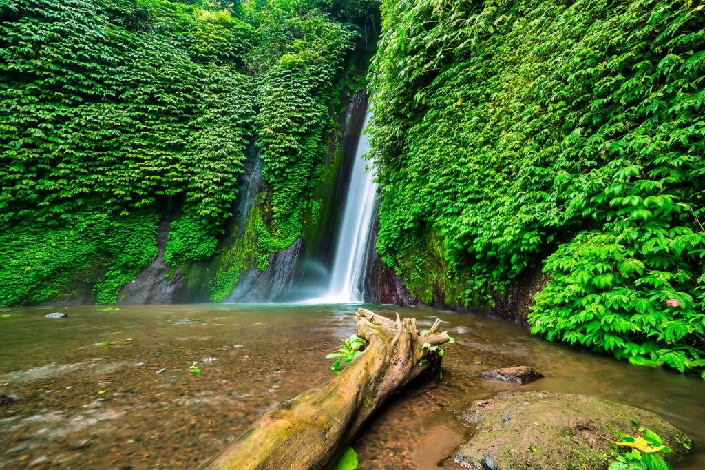 Air Terjun Terbaik di Bali Destinasi Wisata Alam Favorit